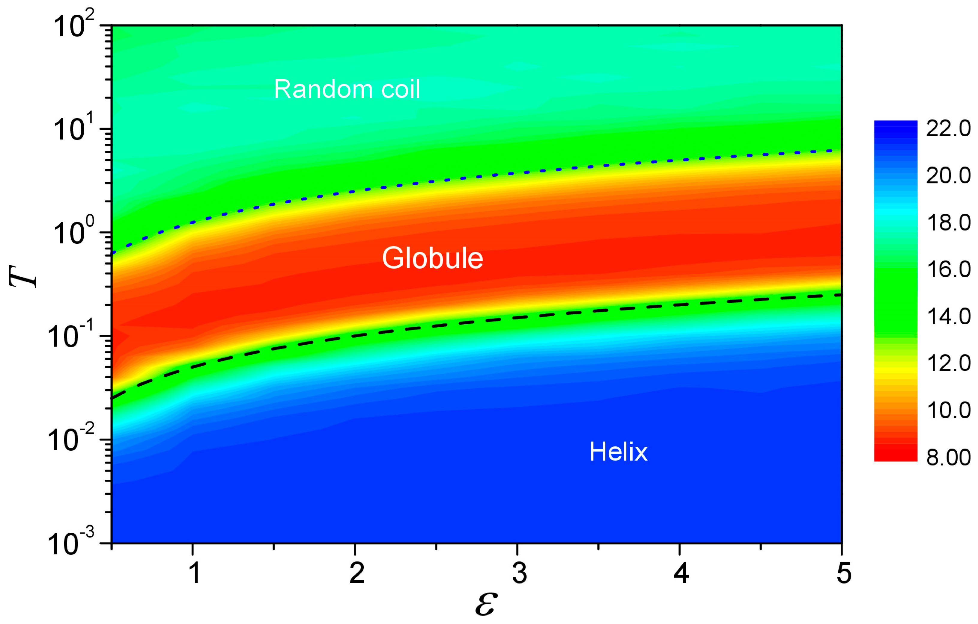 Modeling Coil–Globule–Helix Transition in Polymers by Self-Interacting ...