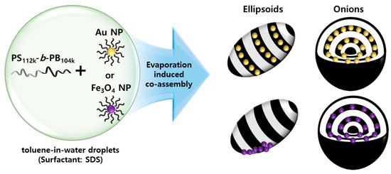 Morphological Evolution of Hybrid Block Copolymer Particles: Toward ...