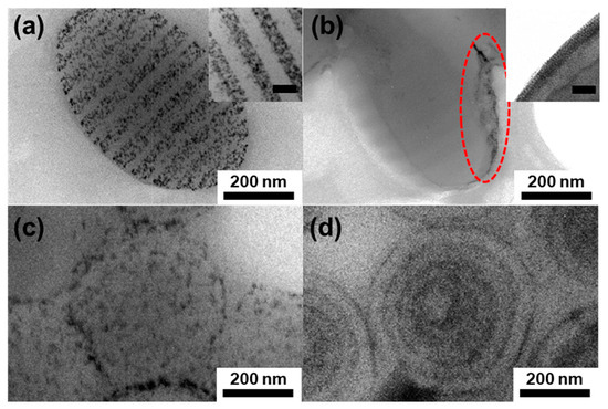 Morphological Evolution of Hybrid Block Copolymer Particles: Toward ...