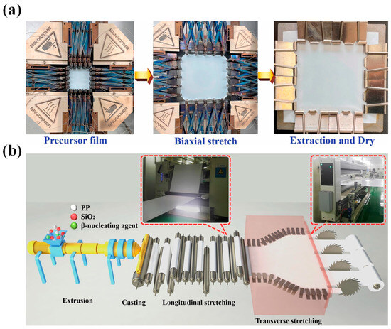 Polymers | Free Full-Text | Engineering Polymer-Based Porous Membrane ...