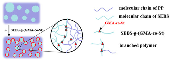 The Effect of Functionalized SEBS on the Properties of PP/SEBS Blends