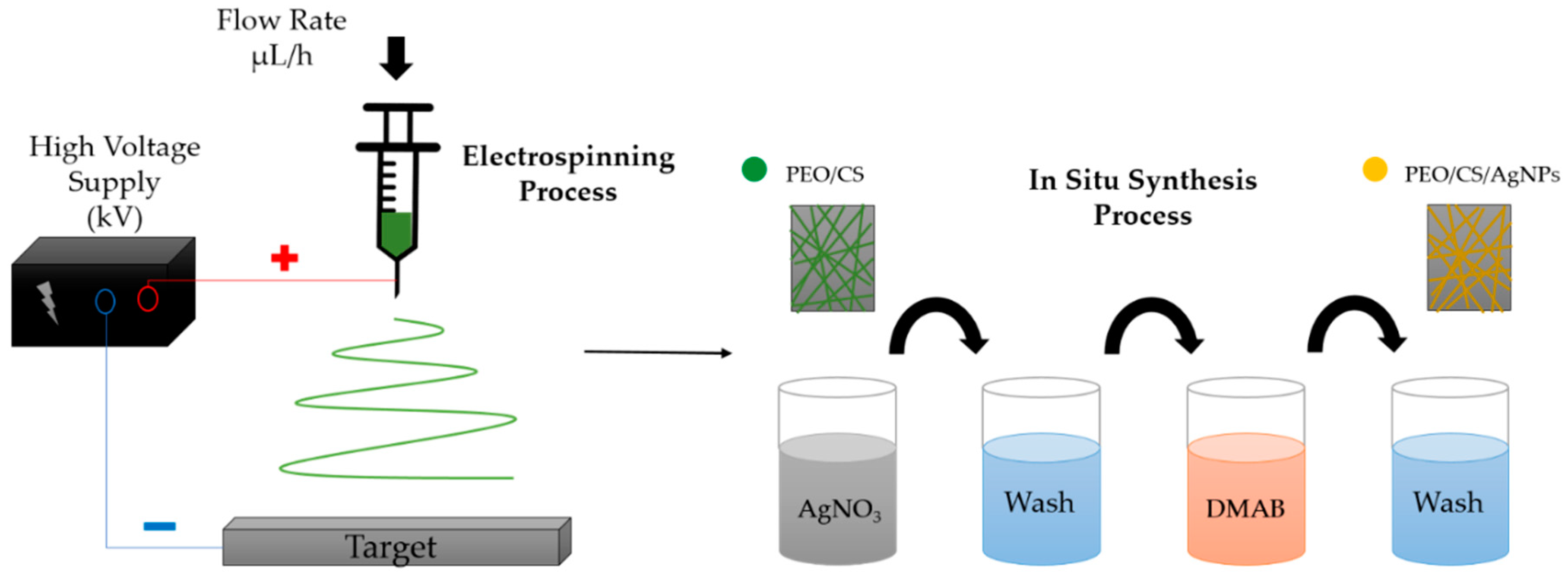 Antifungal Activity of Chitosan/Poly(Ethylene Oxide) Blend Electrospun Polymeric Fiber Mat Doped ...