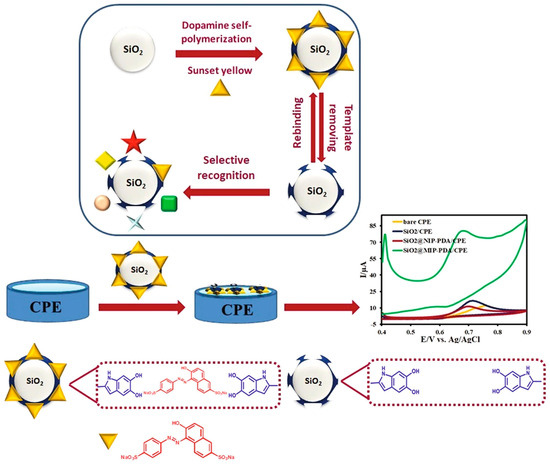 Unlocking the Potential of Molecularly Imprinted Polydopamine in ...