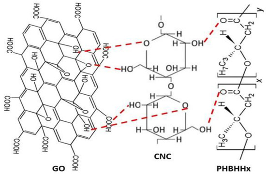 Poly(3-hydroxybutyrate-co-3-hydroxyhexanoate) Bionanocomposites with ...