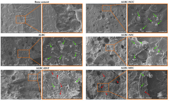 Composite Bone Cements with Enhanced Drug Elution