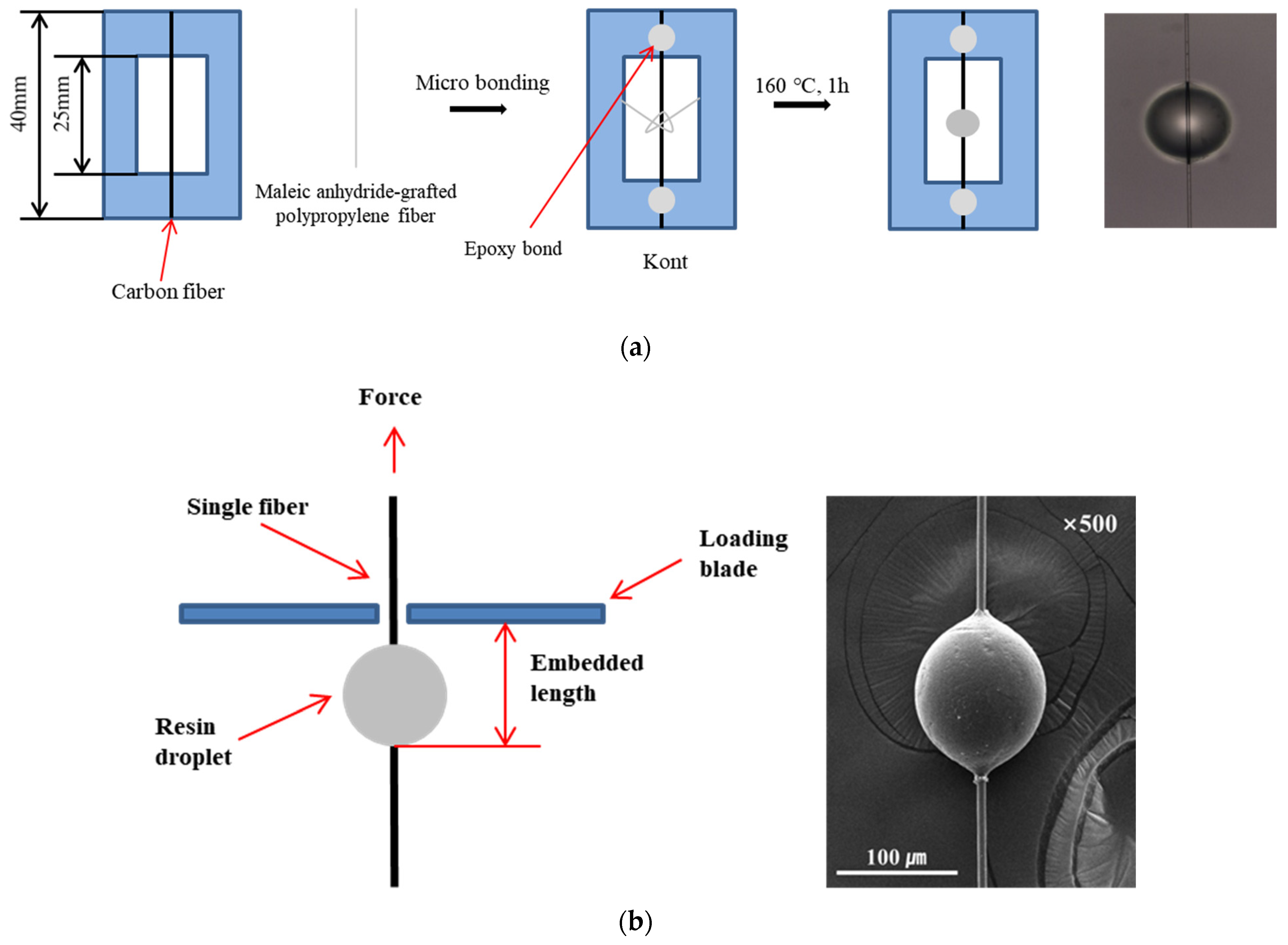 Enhanced Interfacial Properties of Carbon Fiber/Maleic Anhydride ...