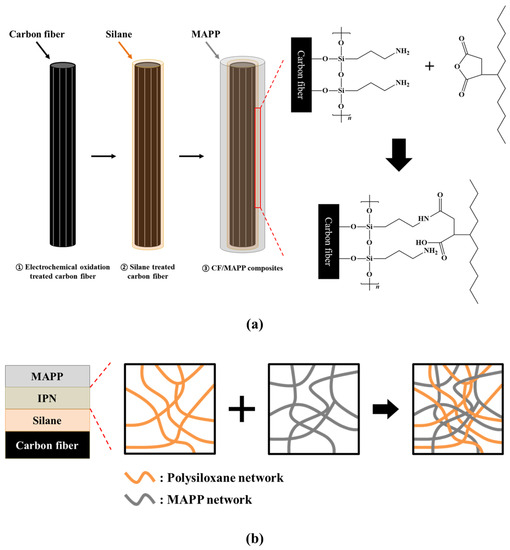 Enhanced Interfacial Properties of Carbon Fiber/Maleic Anhydride ...