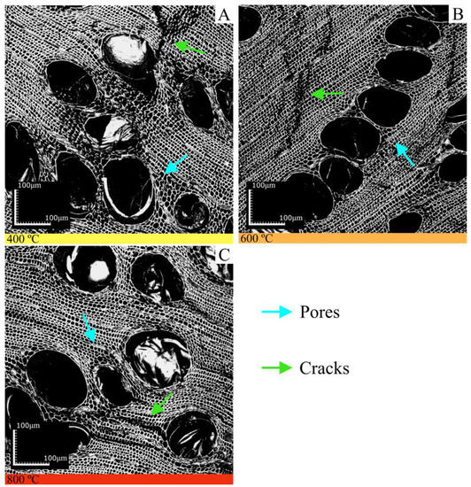 Photoluminous Response of Biocomposites Produced with Charcoal