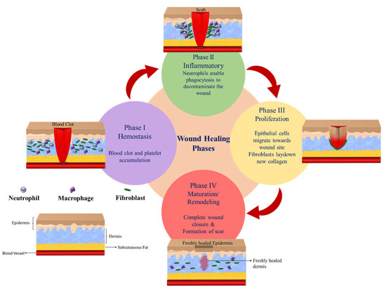 Electrospun PVA Fibers for Drug Delivery: A Review