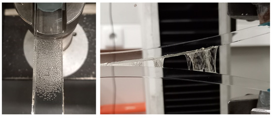 Rheological and Mechanical Properties of an Acrylic PSA