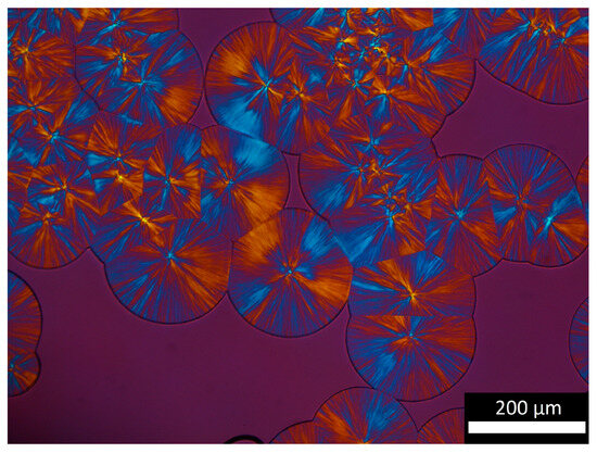 Viscoelastic Properties of Polypropylene during Crystallization and Melting: Experimental and ...