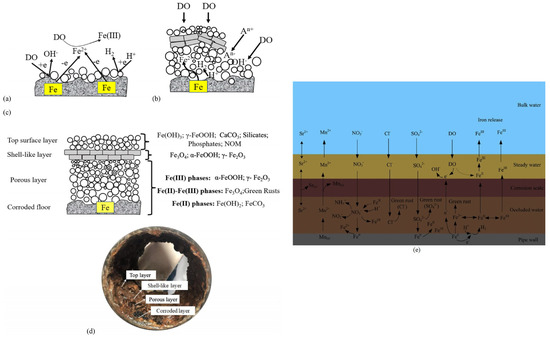 The Behavior of Polymeric Pipes in Drinking Water Distribution System ...