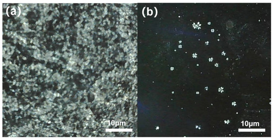 Synthesis and Performance Testing of Maleic Anhydride–Ene Monomers ...