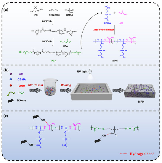 Mechanically Tough and Highly Stretchable Hydrogels Based on ...