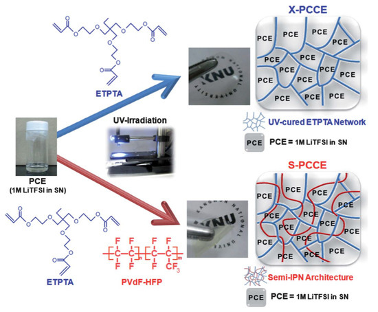 Applications of Polymer Electrolytes in Lithium-Ion Batteries: A Review