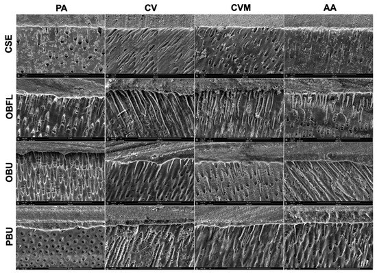 Effectiveness of Different Application Modalities on the Bond ...