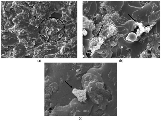 Influence of Bentonite Particles on the Mechanical Properties of ...