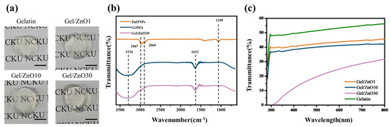Antibacterial Gelatin Composite Hydrogels Comprised of In Situ Formed Zinc Oxide Nanoparticles