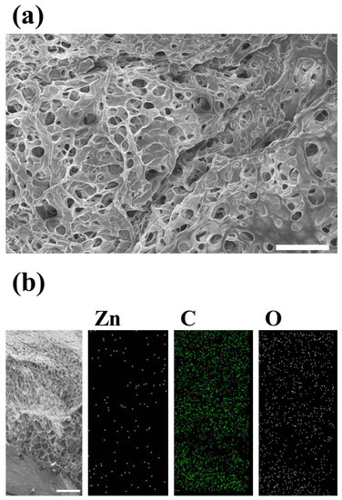 Antibacterial Gelatin Composite Hydrogels Comprised of In Situ Formed Zinc Oxide Nanoparticles