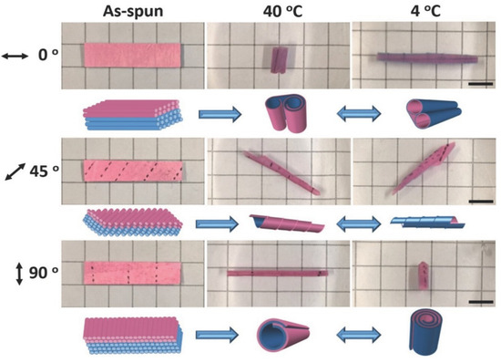 Polymers | Free Full-Text | From Nature to Technology: Exploring ...
