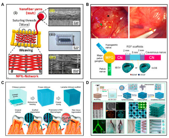 A Review on Polymers for Biomedical Applications on Hard and Soft ...