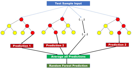 Prediction of Tribological Properties of UHMWPE/SiC Polymer Composites ...