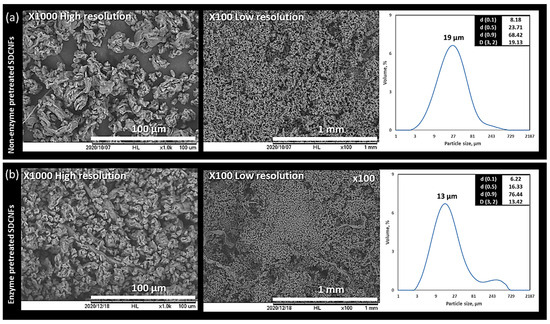 Polymers | Free Full-Text | Spray Drying Enzyme-Treated Cellulose ...