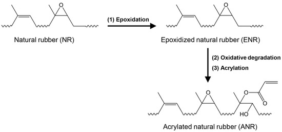 Mechanical Properties’ Strengthening of Photosensitive 3D Resin in ...