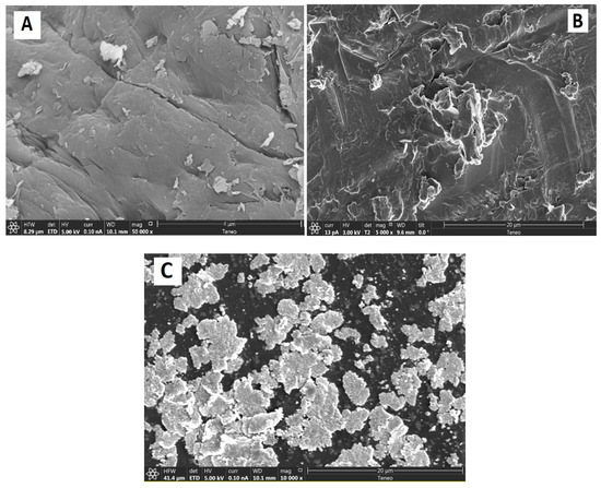 Preparation, Characterization, Dielectric Properties, and AC Conductivity of Chitosan Stabilized ...
