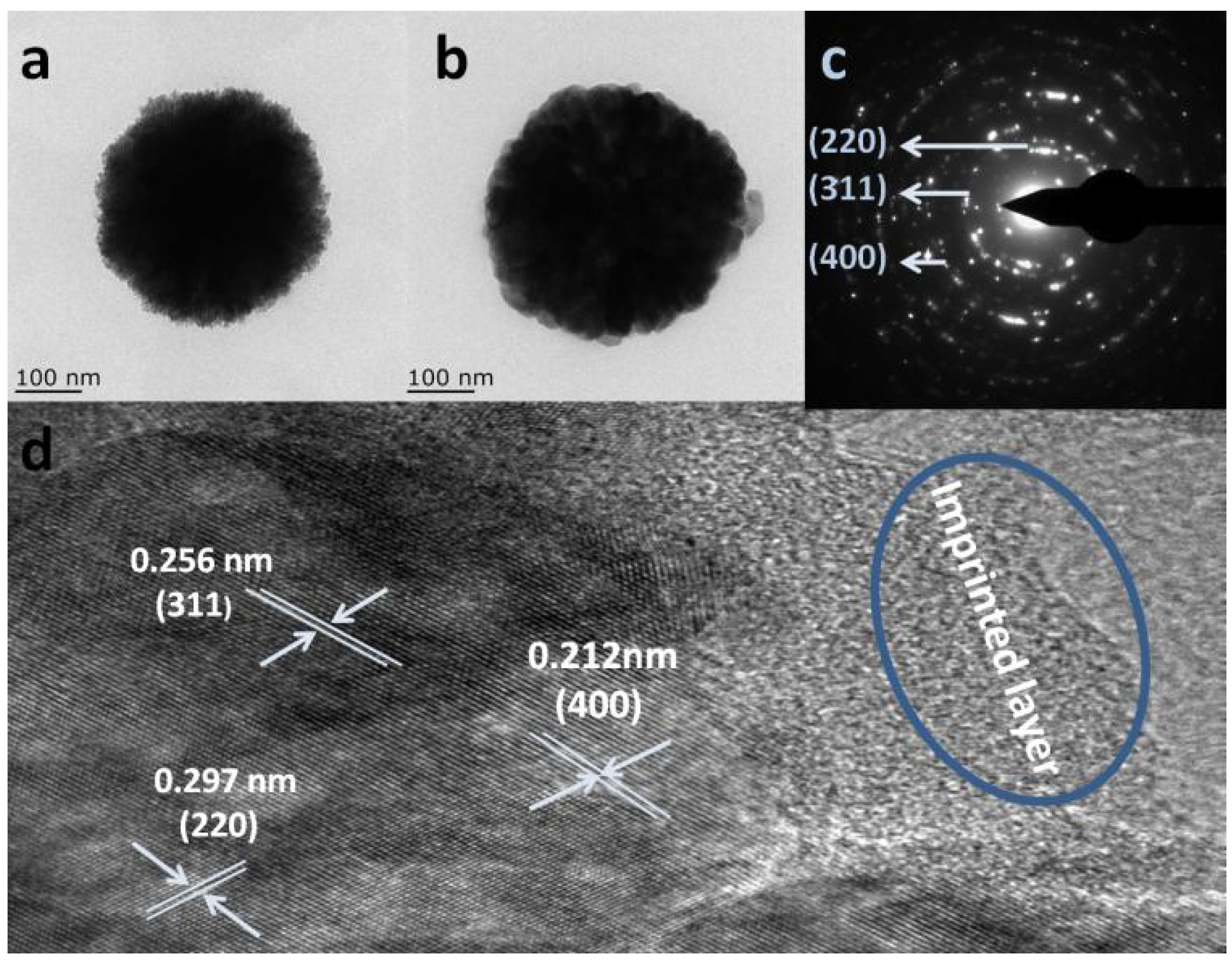 Unveiling the Latest Developments in Molecularly Imprinted ...
