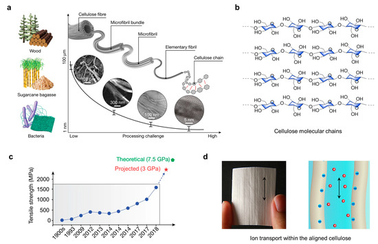 Cellulose-Based Conductive Materials for Energy and Sensing Applications