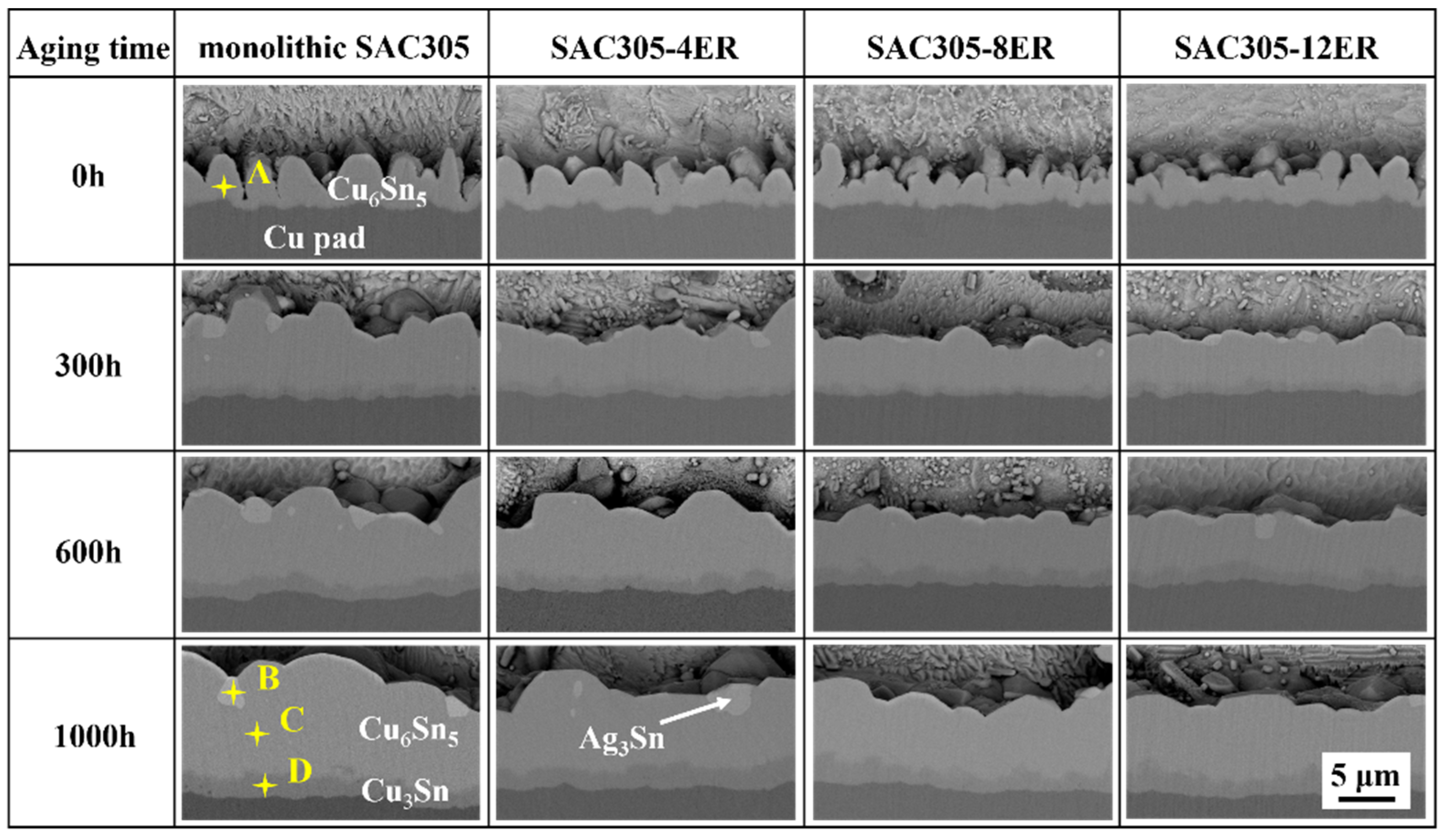Influence of Isothermal Aging on Microstructure and Shear Property of ...