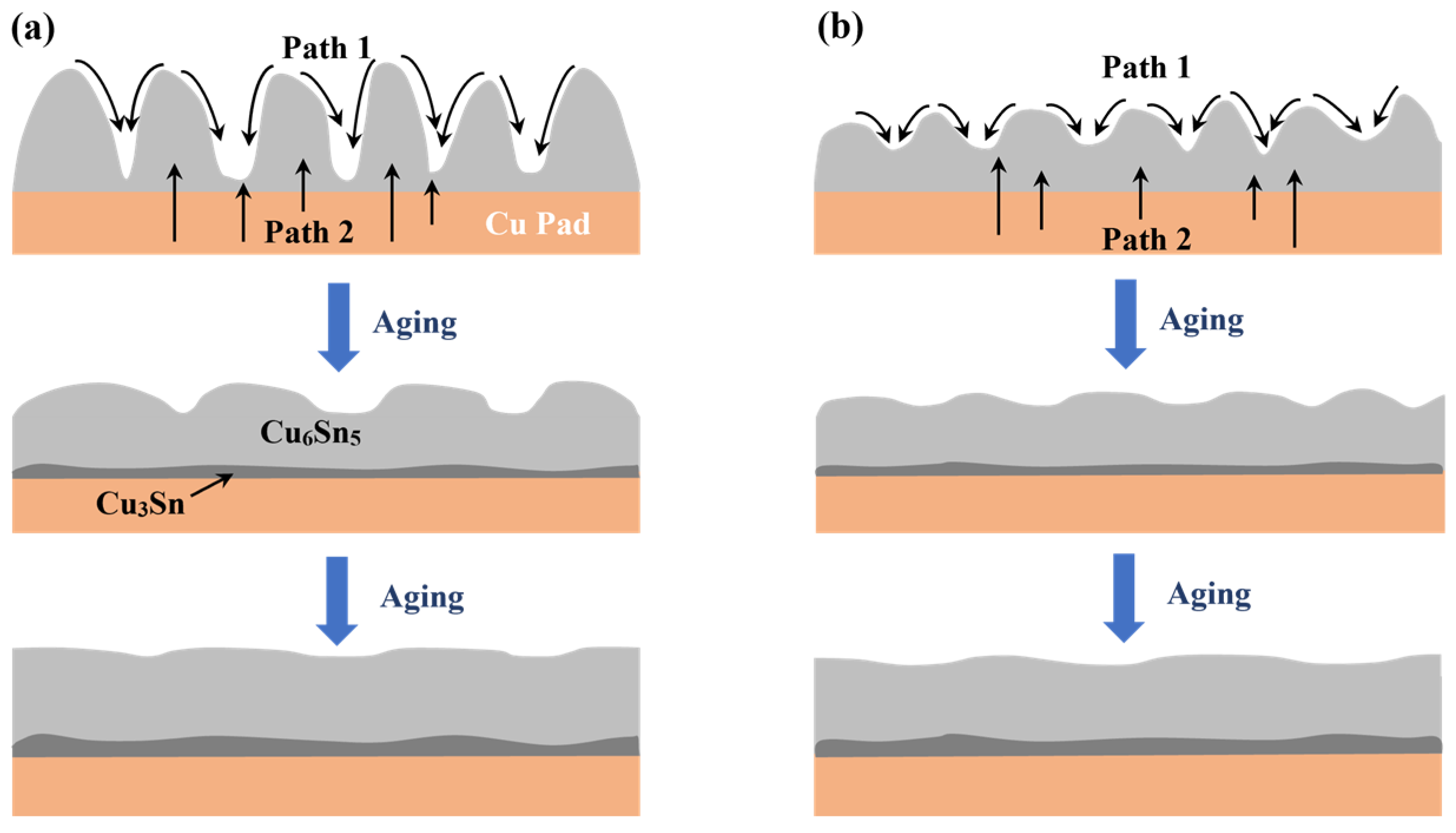 Influence of Isothermal Aging on Microstructure and Shear Property of ...