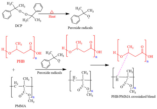 Sustainable Polyhydroxyalkanoate Production from Food Waste via ...