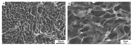 Mineralized Collagen/Polylactic Acid Composite Scaffolds for Load ...