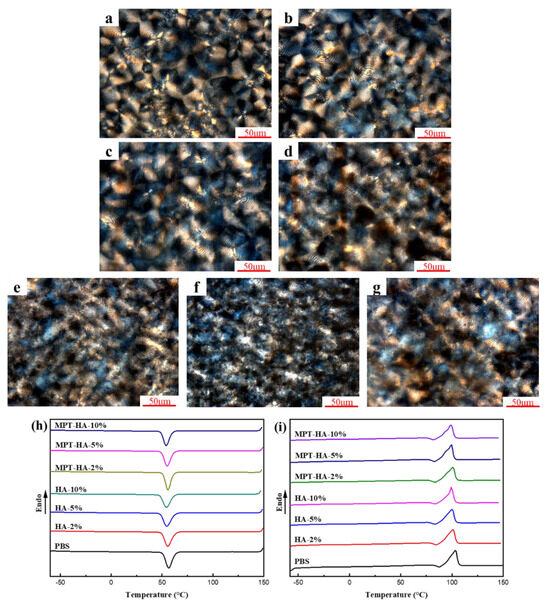 Hydroxyapatite/Poly (Butylene Succinate)/Metoprolol Tartrate Composites ...