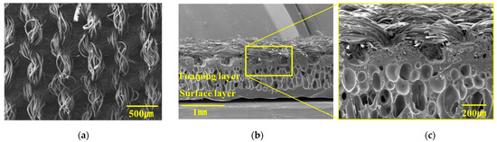 Experimental Investigation of the Peel Strength of Artificial Leather and Polypropylene Specimens