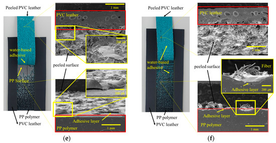 Experimental Investigation of the Peel Strength of Artificial Leather and Polypropylene Specimens