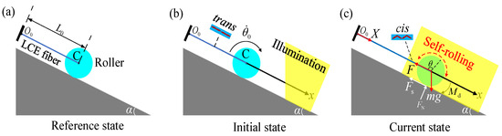 A Light-Powered Liquid Crystal Elastomer Roller