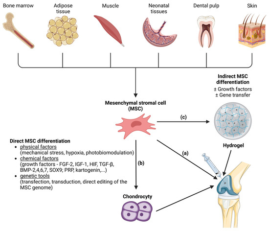 Bioadhesive and Injectable Hydrogels and Their Correlation with ...