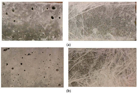 Peeling Force Required for the Detachment of Non-Woven Plastic Tissue ...