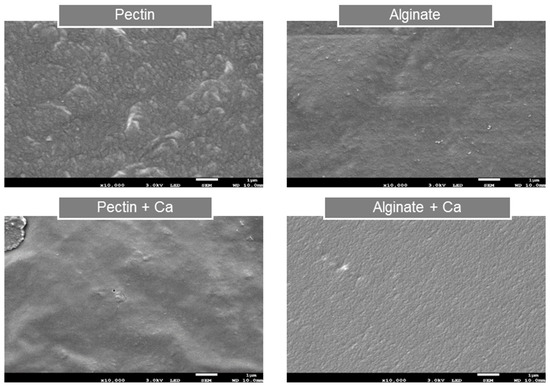 Microstructural and Mechanical Properties of Calcium-Treated Cactus ...