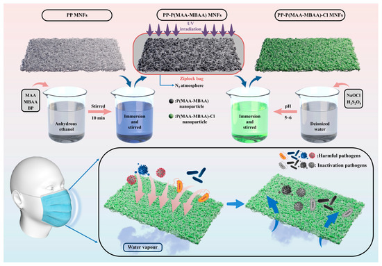 N-Halamine-Based Polypropylene Melt-Blown Nonwoven Fabric with ...