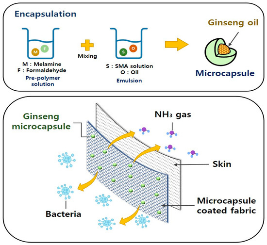 Development of Highly Hygienic Textile by Coating with Encapsulated Ginseng Oil