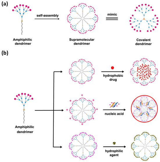 Dendrimers: Exploring Their Wide Structural Variety and Applications