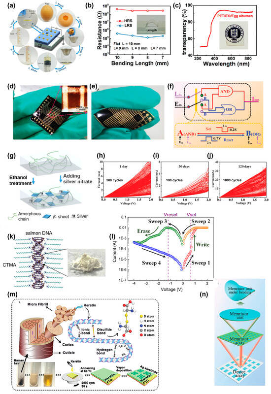 Emerging Robust Polymer Materials for High-Performance Two-Terminal ...