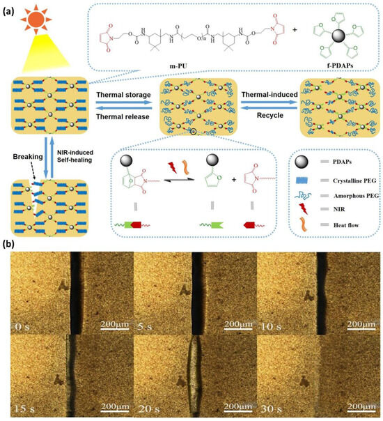 Properties and Applications of Self-Healing Polymeric Materials: A Review