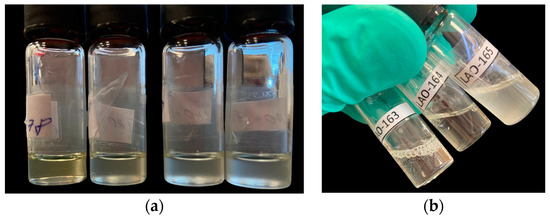 Vinyl-Addition Homopolymeization of Norbornenes with Bromoalkyl Groups