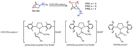Vinyl-Addition Homopolymeization of Norbornenes with Bromoalkyl Groups