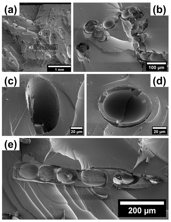 Hair-Reinforced Elastomer Matrix Composites: Formulation, Mechanical ...